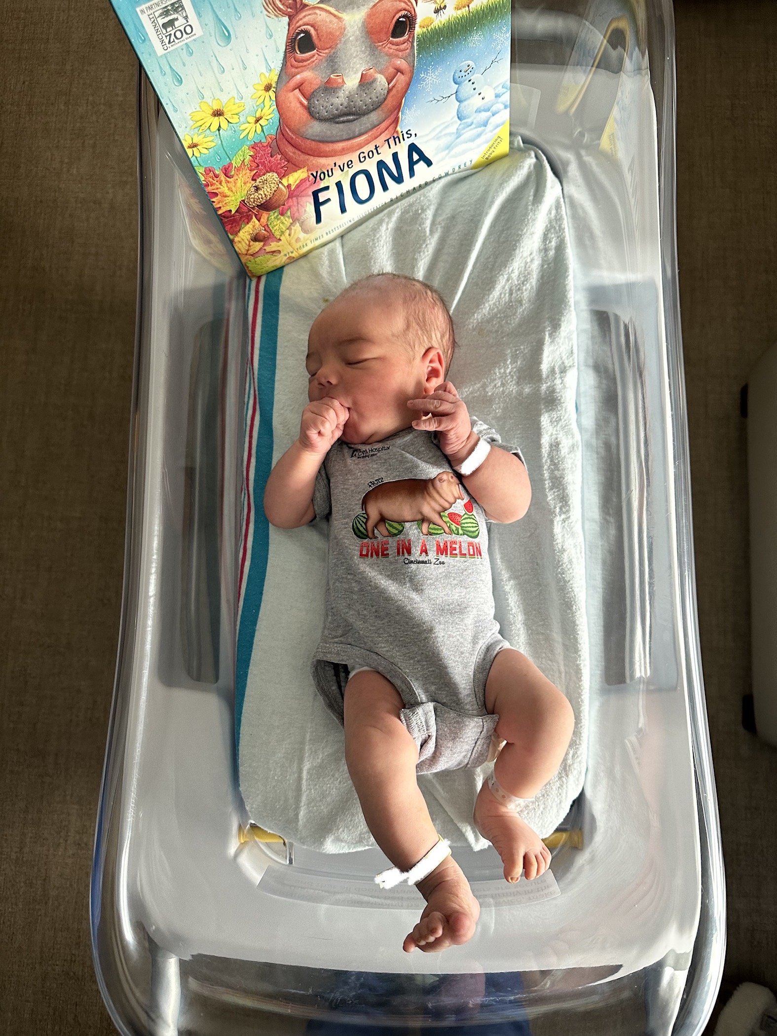 Press Release Details